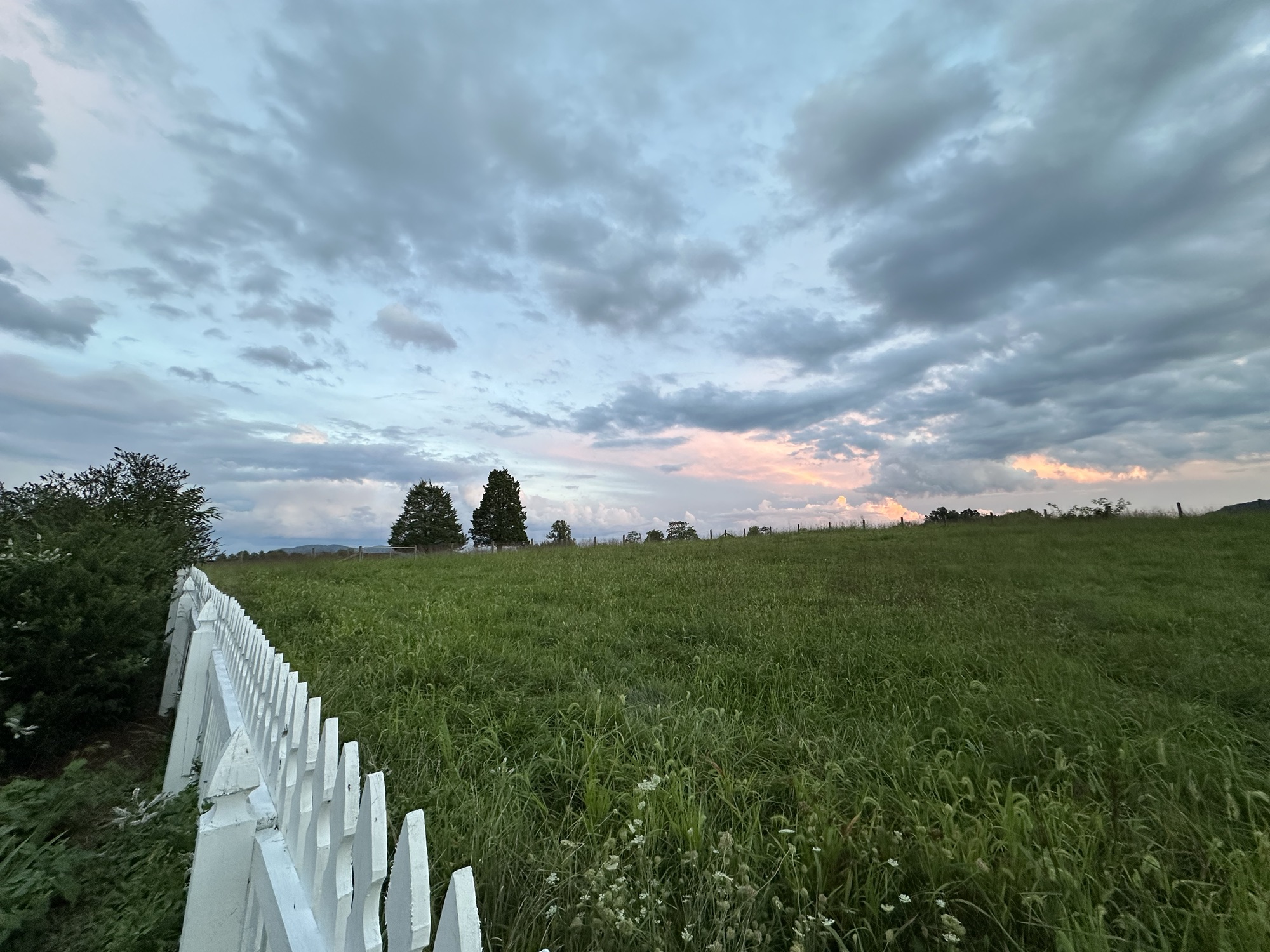 The Weekly Bleat: A Thing of Beauty – fourth generation farmgirl